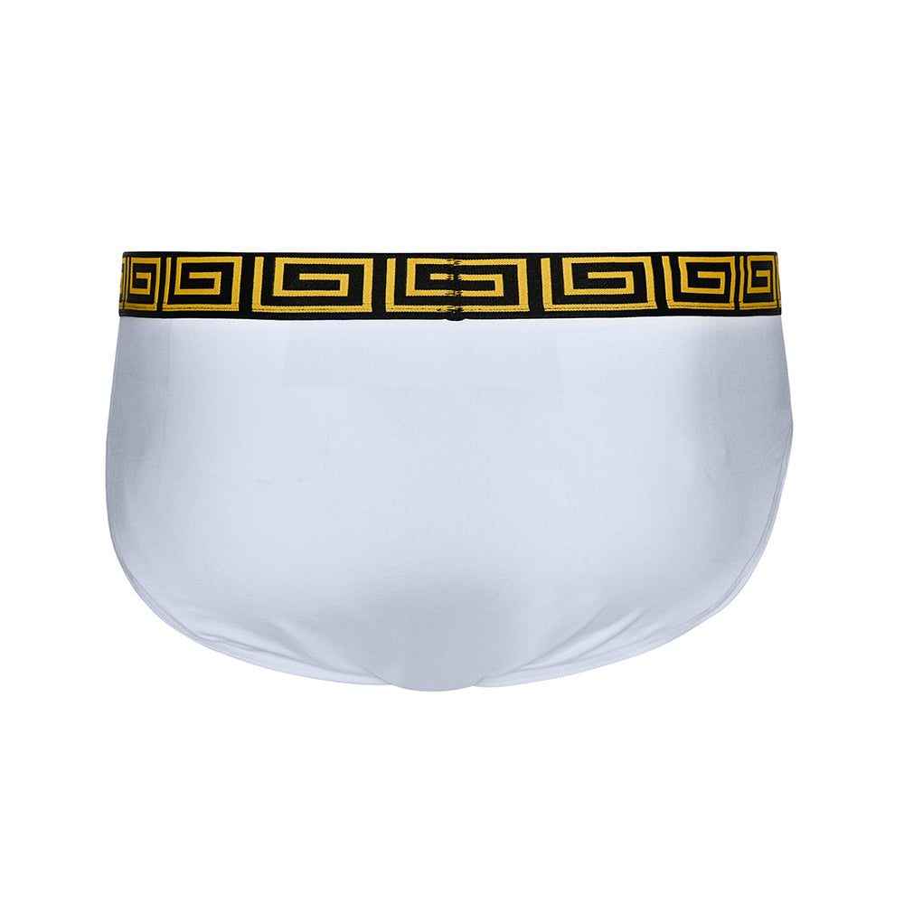 Sheath Men's Brief | Dual Pouch With Fly – SHEATH UNDERWEAR