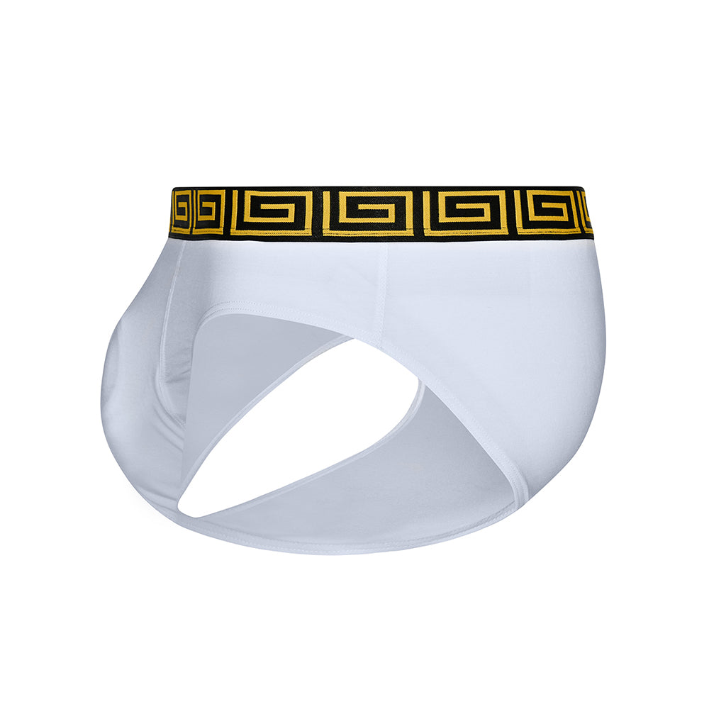 Sheath Men's Brief | Dual Pouch With Fly – SHEATH UNDERWEAR